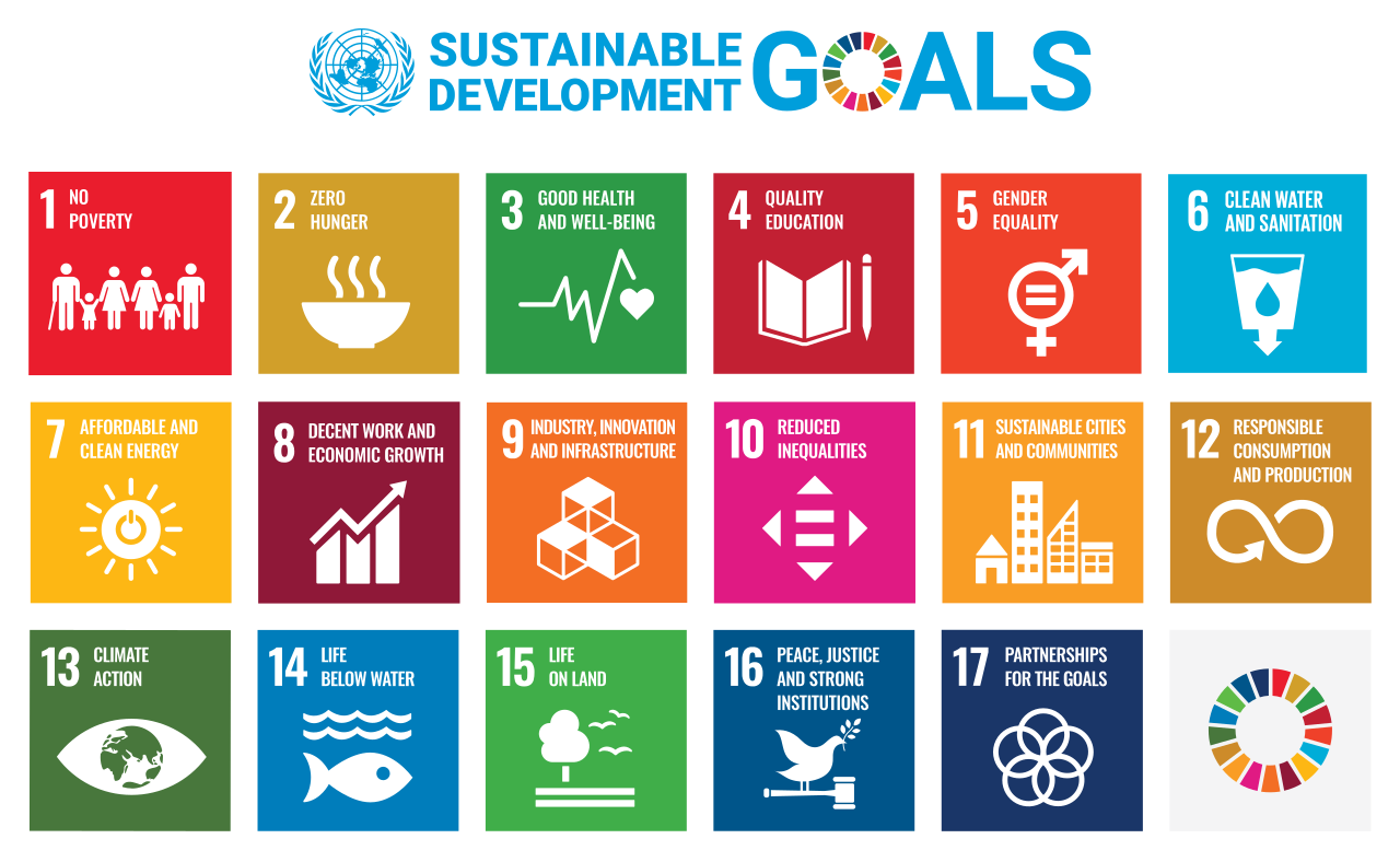 Limits and Deficits of the SDGs - A Critical Analysis